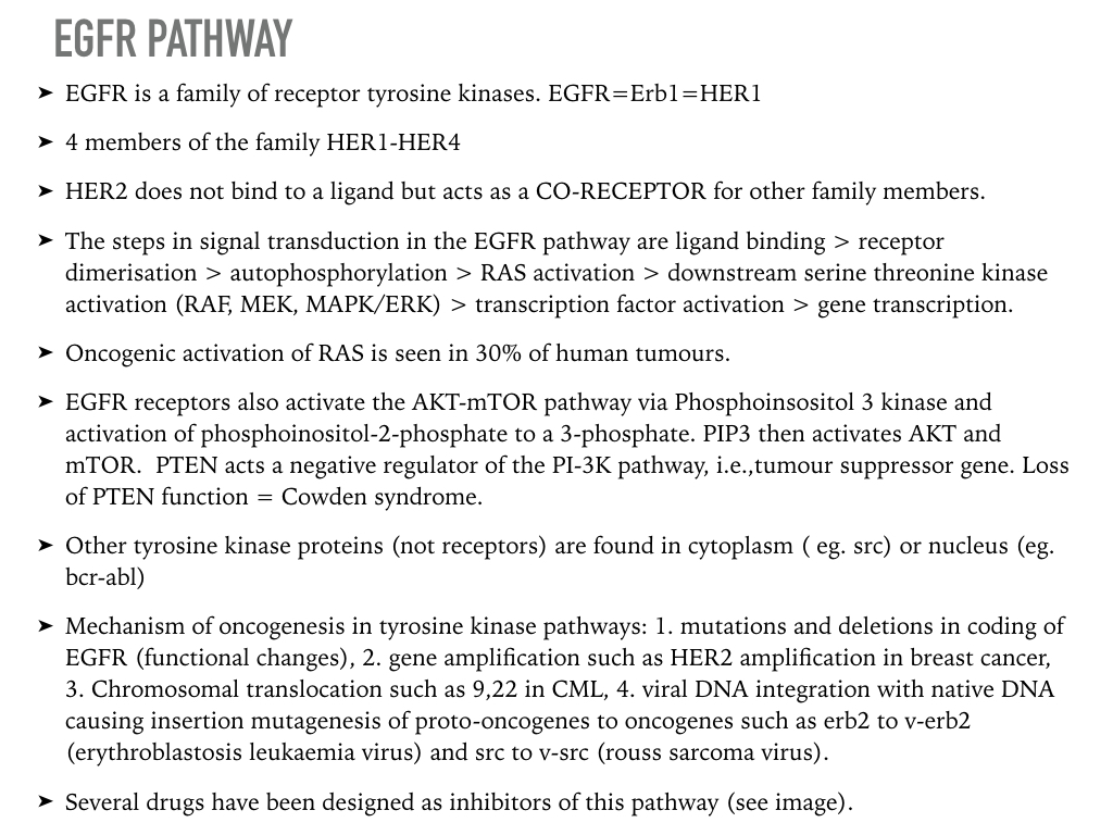 EGFR pathway – The CLINICAL ONCOLOGY REGISTRAR