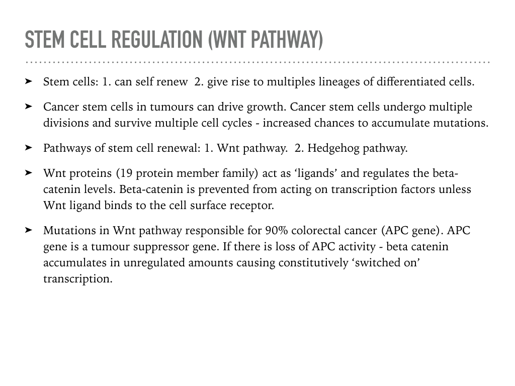 STEM CELL PATHWAYS – The CLINICAL ONCOLOGY REGISTRAR