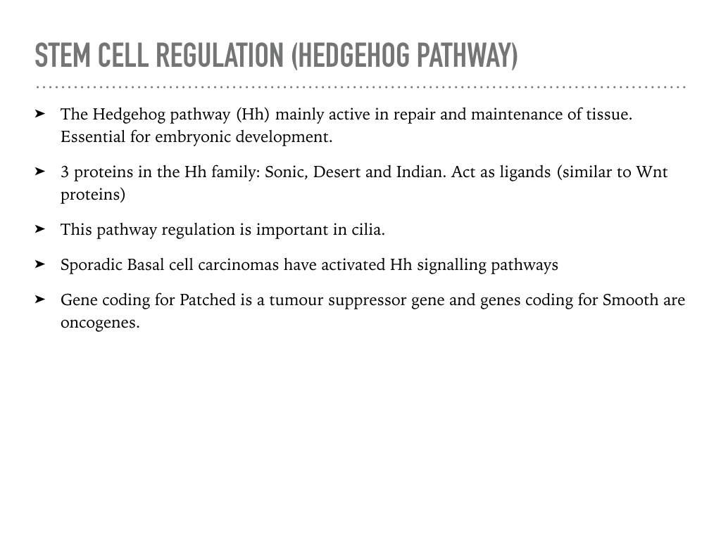 STEM CELL PATHWAYS – The CLINICAL ONCOLOGY REGISTRAR