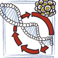Simple calculations – The CLINICAL ONCOLOGY REGISTRAR